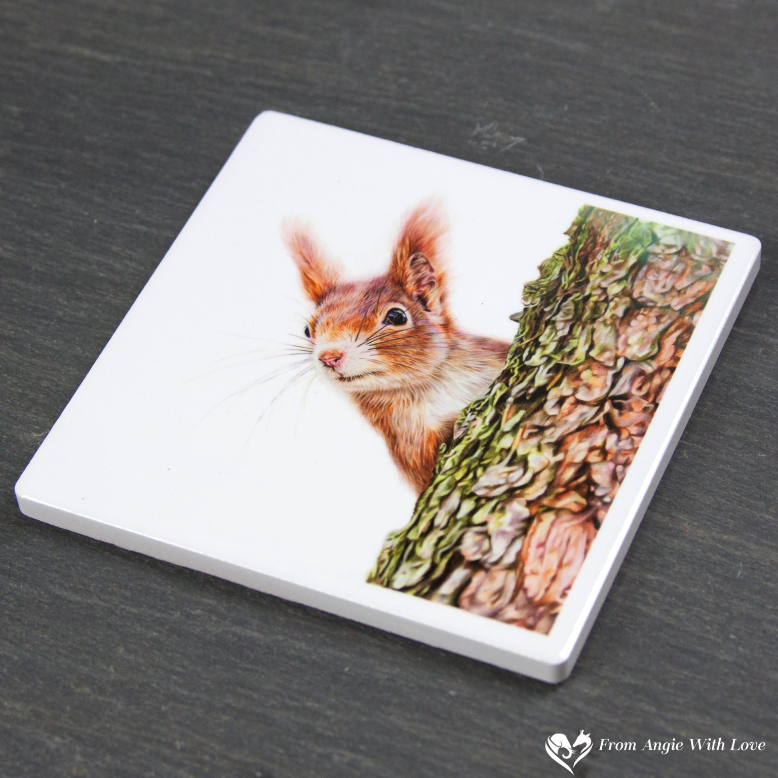 'Red Alert' Red Squirrel Coaster by Wildlife Artist Angie