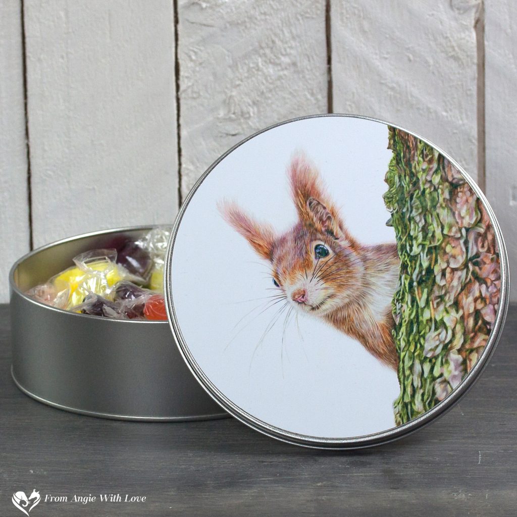 'Red Alert' Red Squirrel Tin by Wildlife Artist Angie