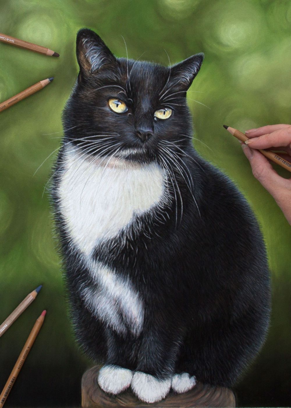 Cat Portraits Gallery - Commission Your Own Here
